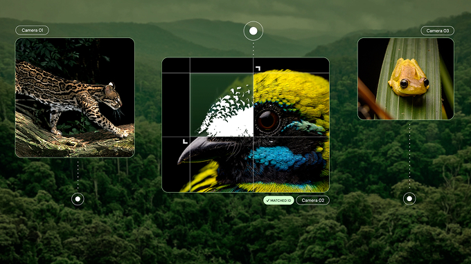 Guardians for the planet – Microsoft Unlocked